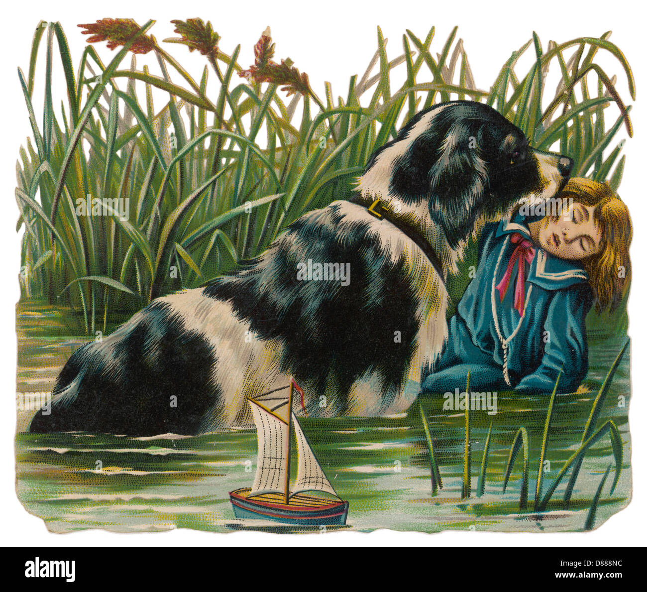 How Do You Revive A Drowning Dog