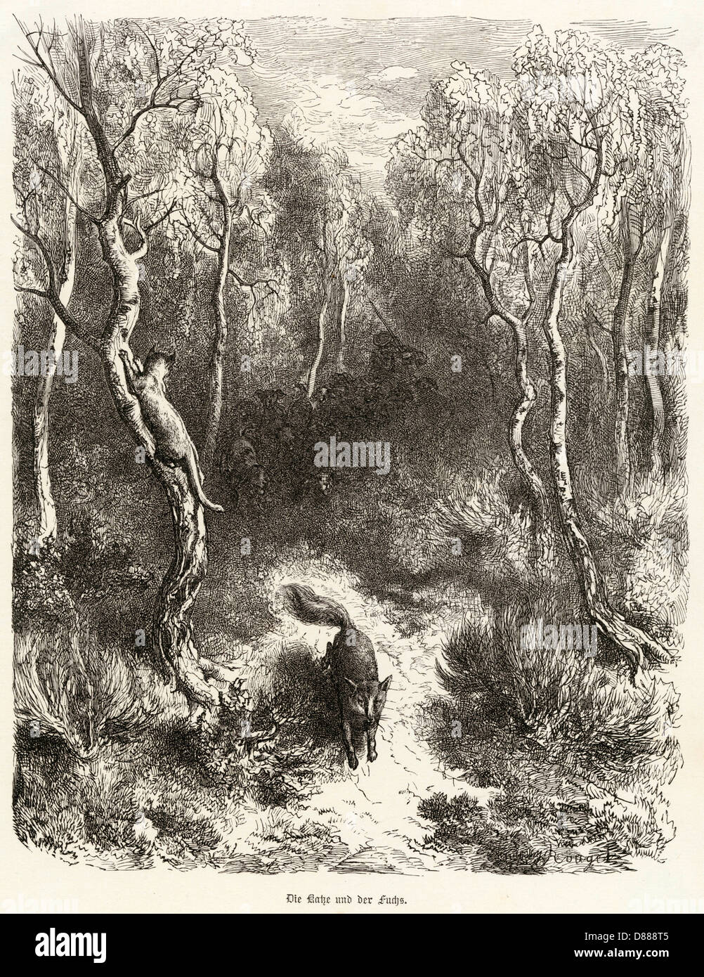 The Cat - the Fox - circa 1870 Stock Photo - Alamy