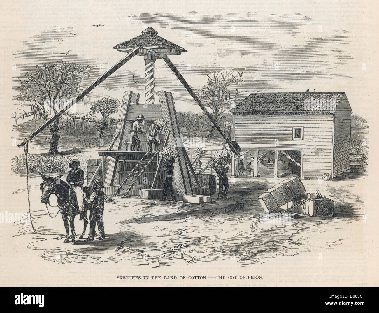 Cotton press hi-res stock photography and images - Alamy