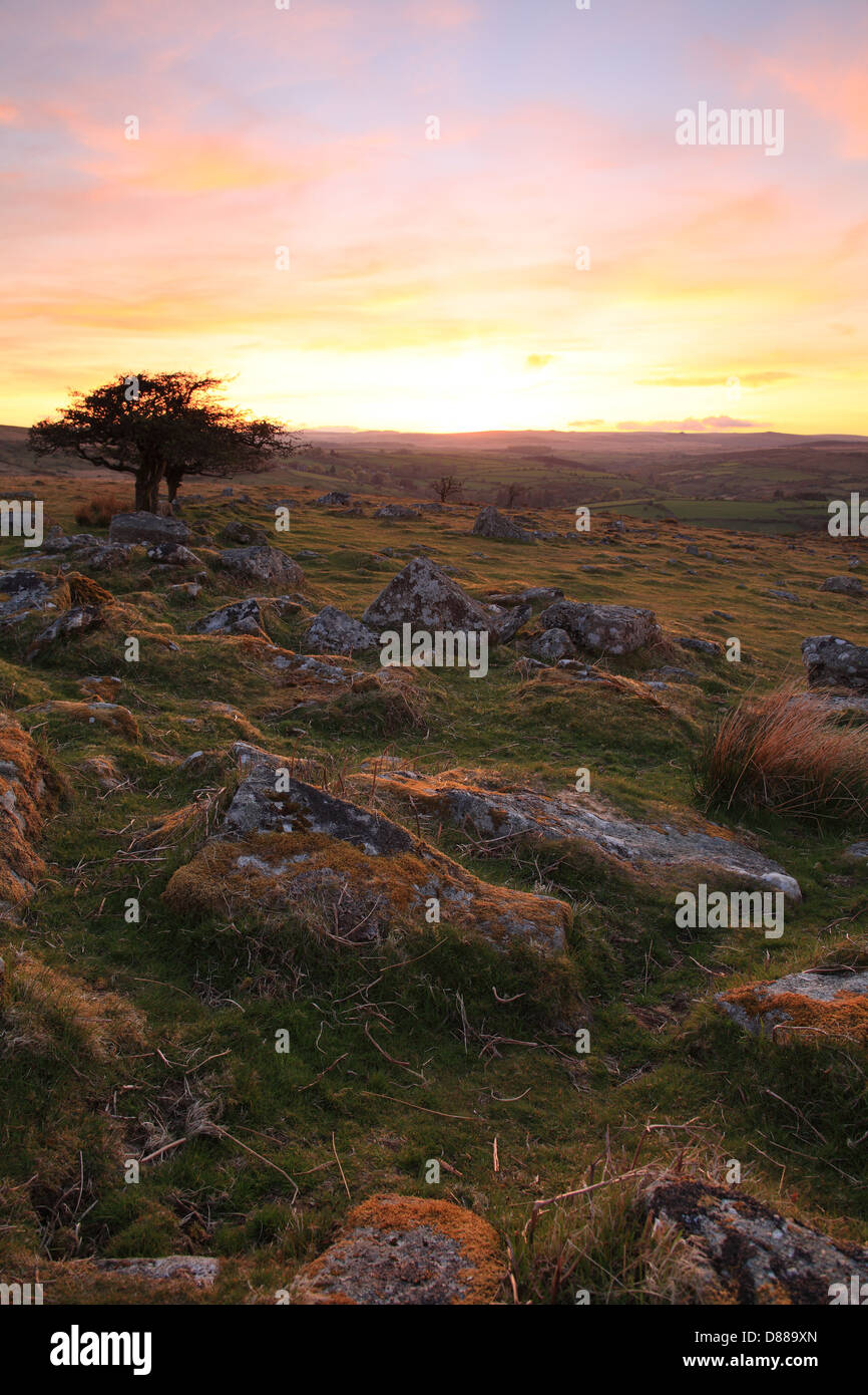 View from Combestone Tor towards Hexworthy and Princetown, Dartmoor ...