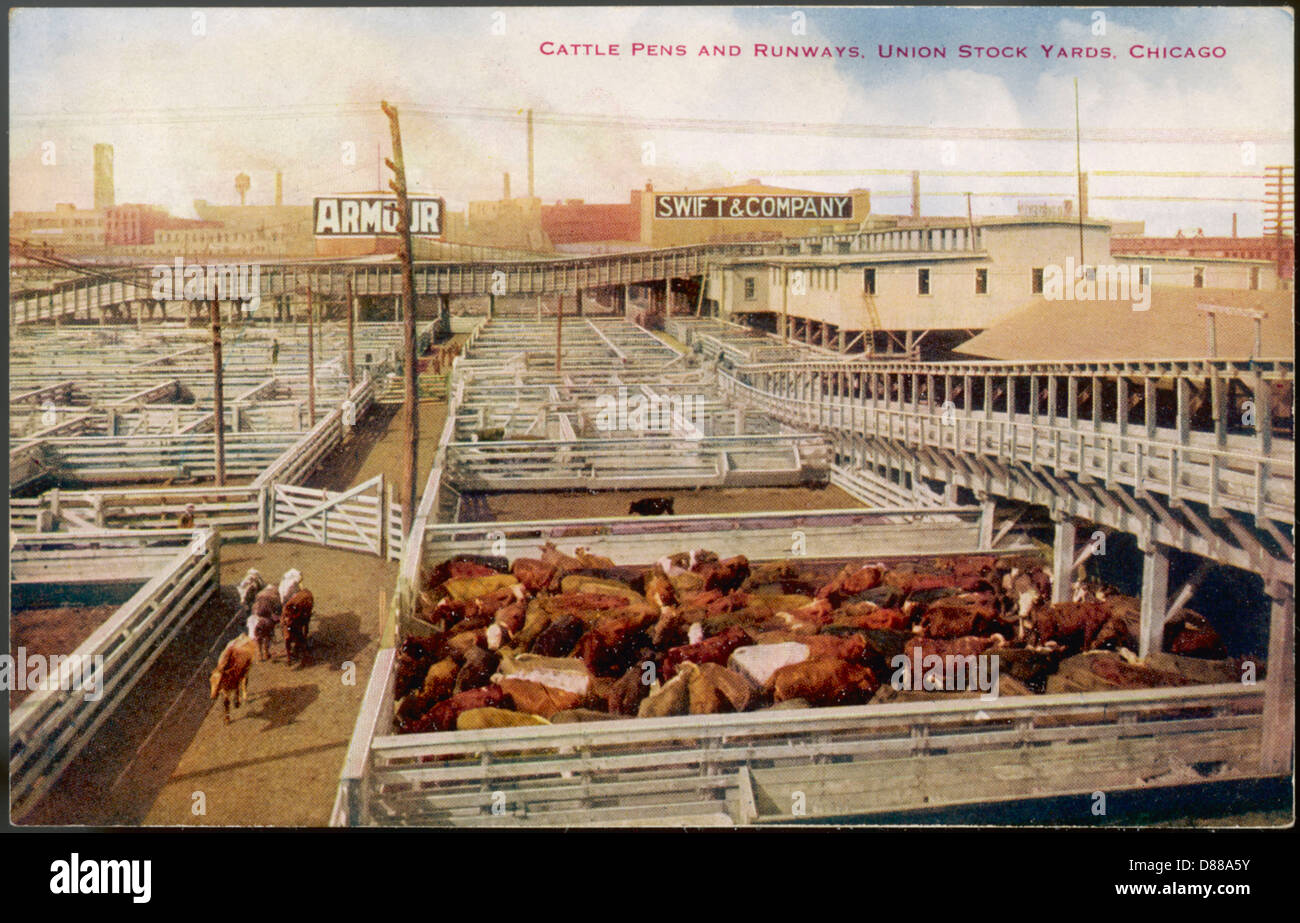 Union stockyards history hi-res stock photography and images - Alamy