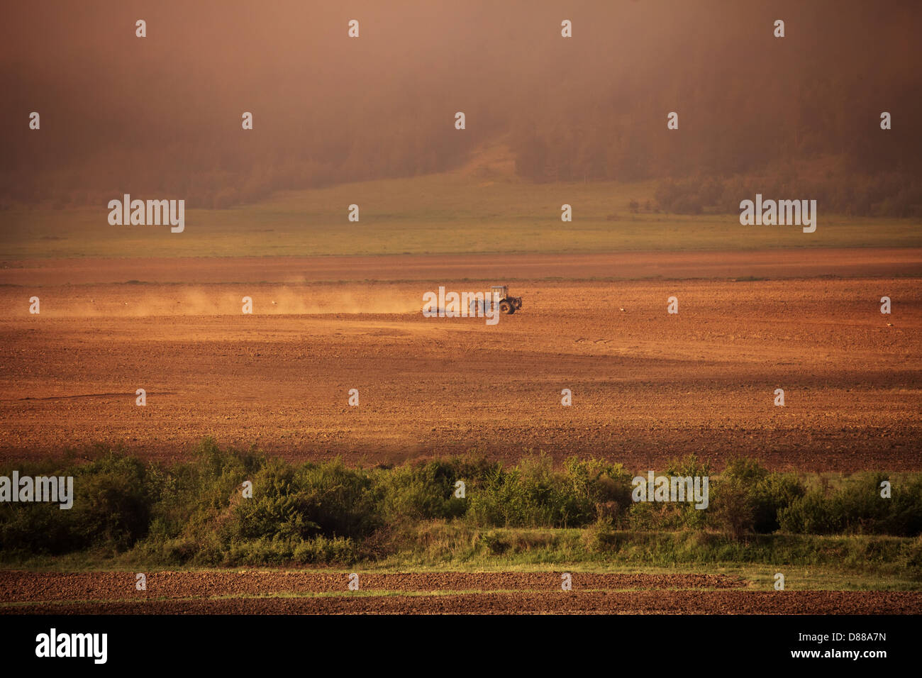 cultivated farmland and tractor panoramic landscape in sunset time ...