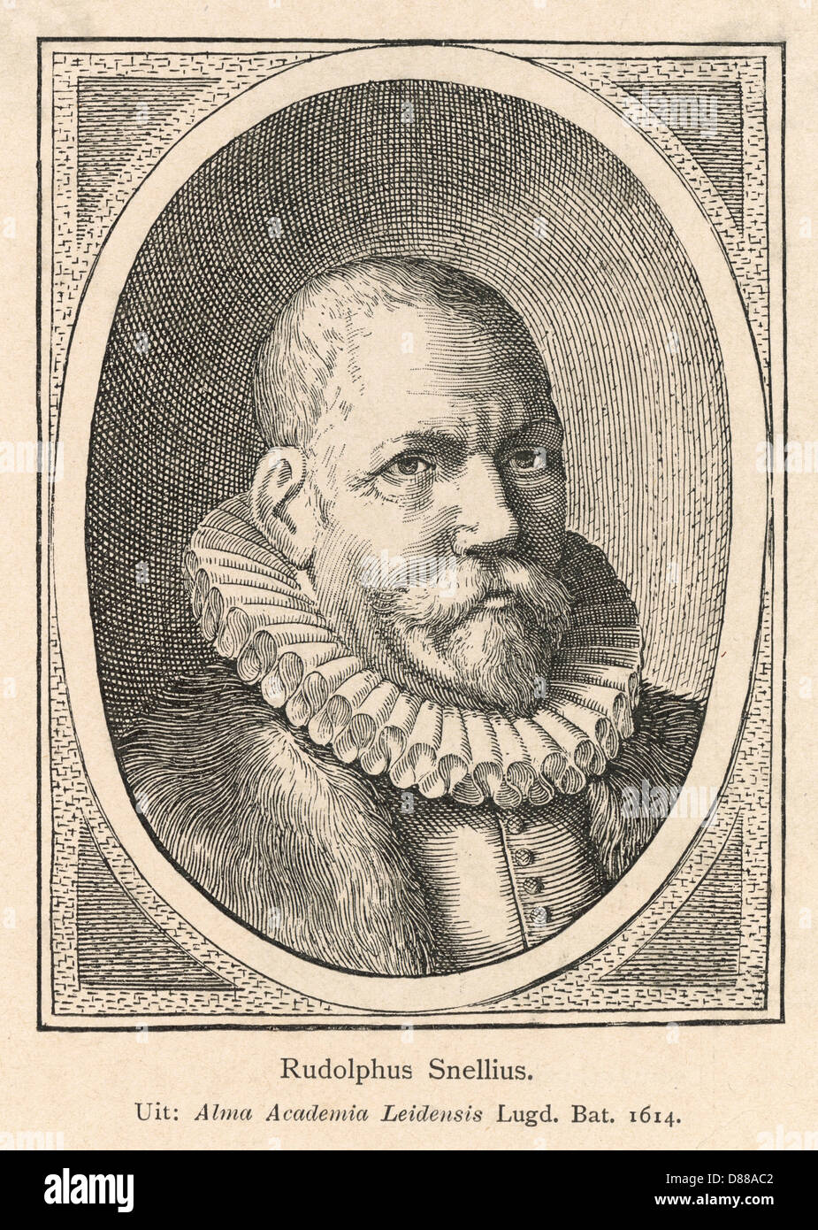 Snell hi-res stock photography and images - Alamy