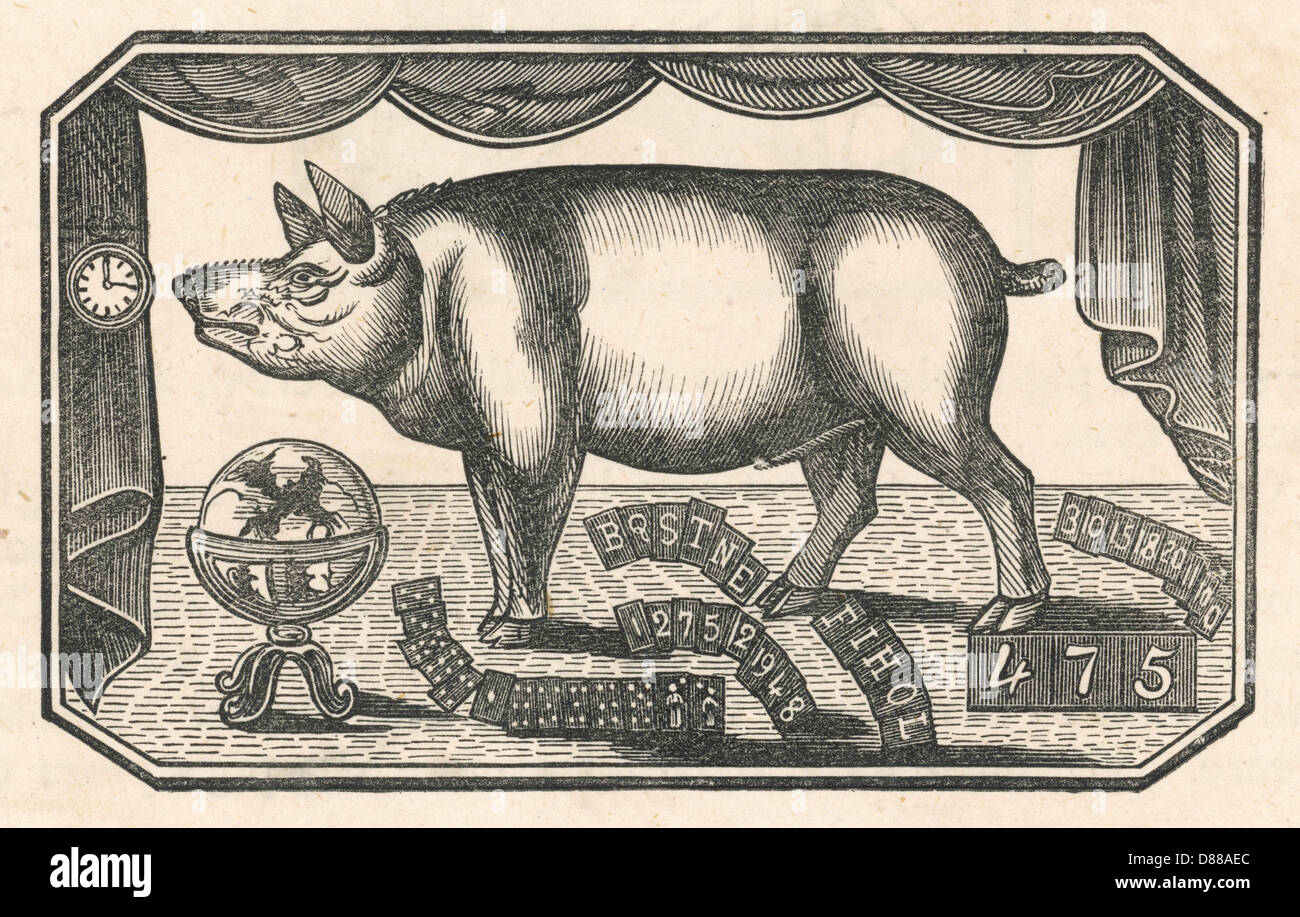 Toby the learned pig hi-res stock photography and images - Alamy