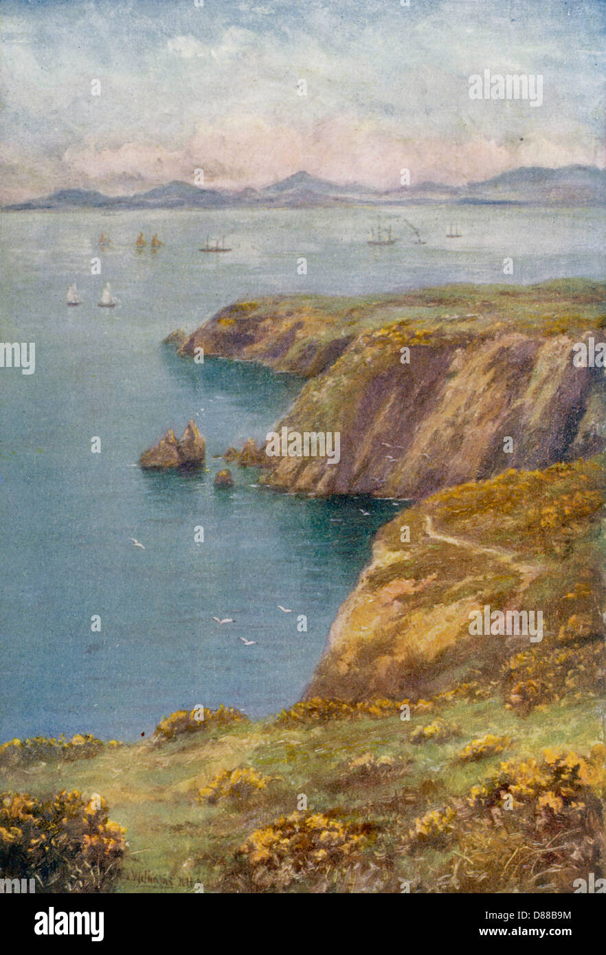 DUBLIN BAY/HOWTH CLIFFS Stock Photo - Alamy