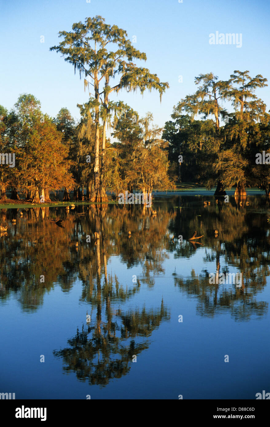Cajun country hi-res stock photography and images - Alamy
