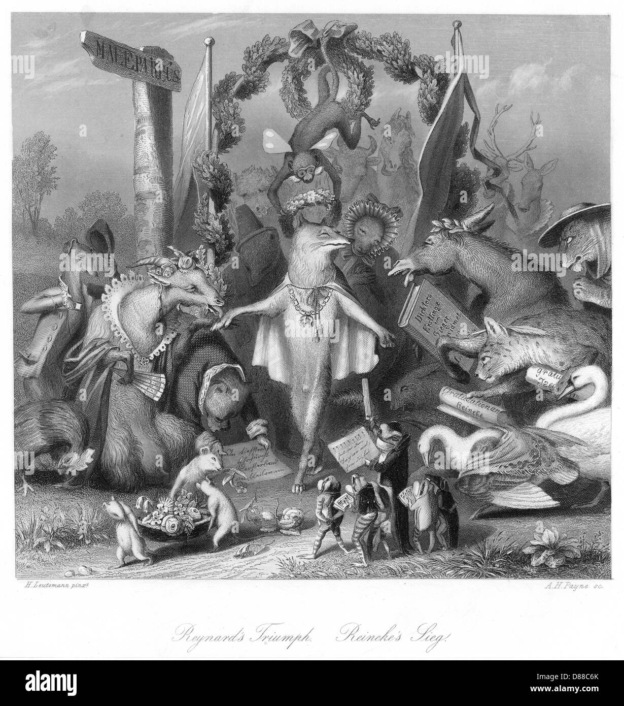 Reynards hi-res stock photography and images - Alamy