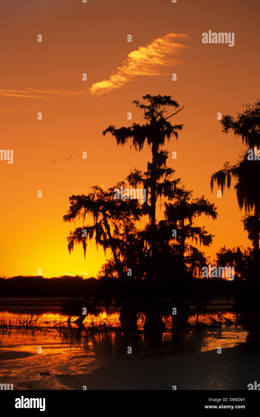 Louisiana bayou sunset hi-res stock photography and images - Alamy