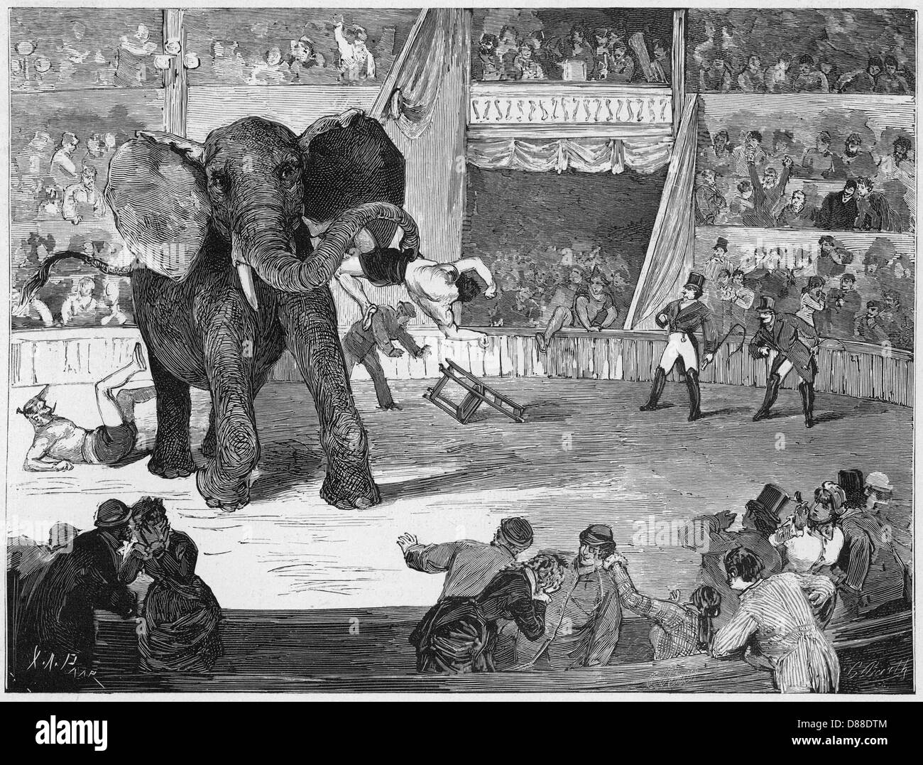 Jumbo circus elephant hi-res stock photography and images - Alamy