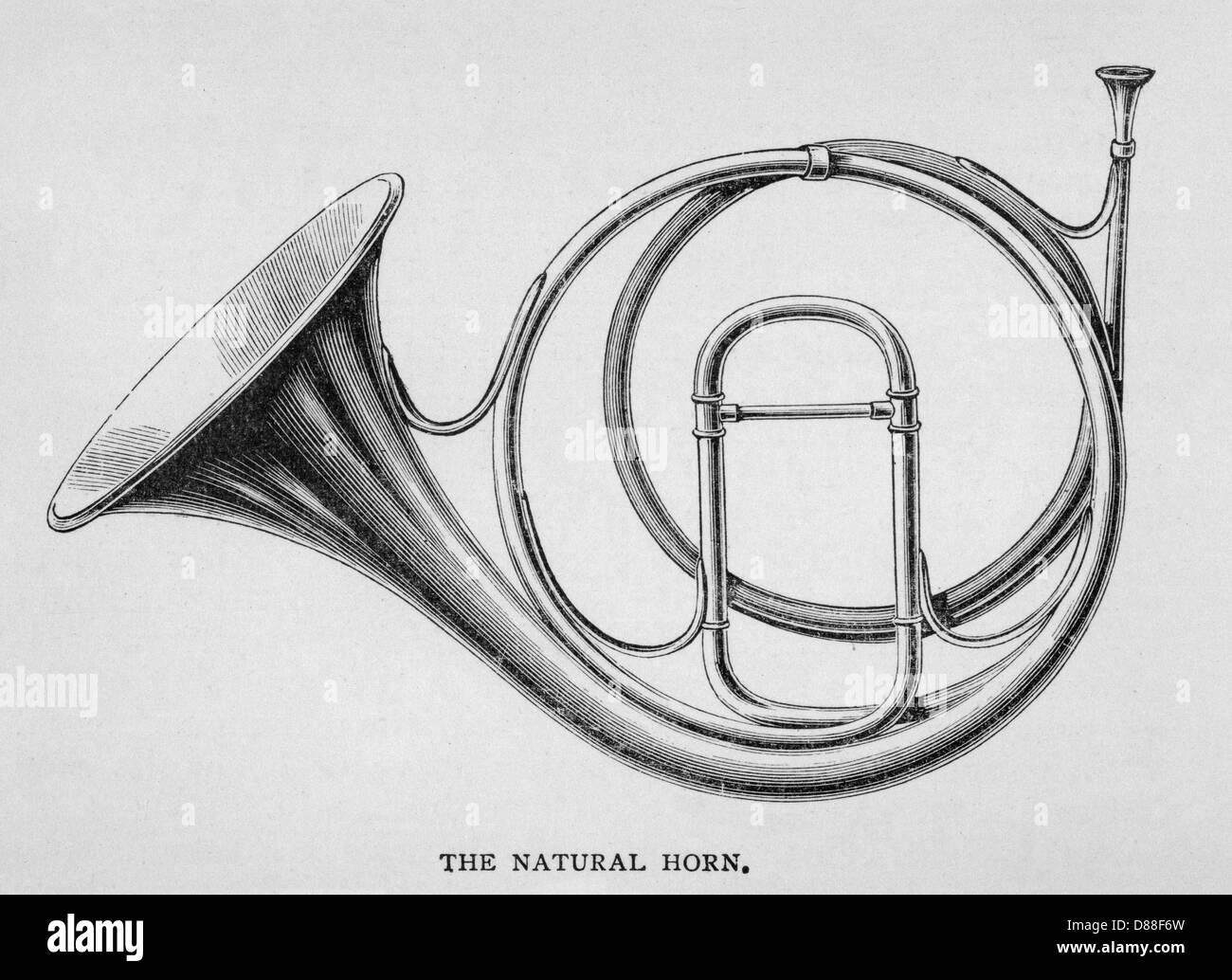 Get on the horn Black and White Stock Photos & Images - Alamy