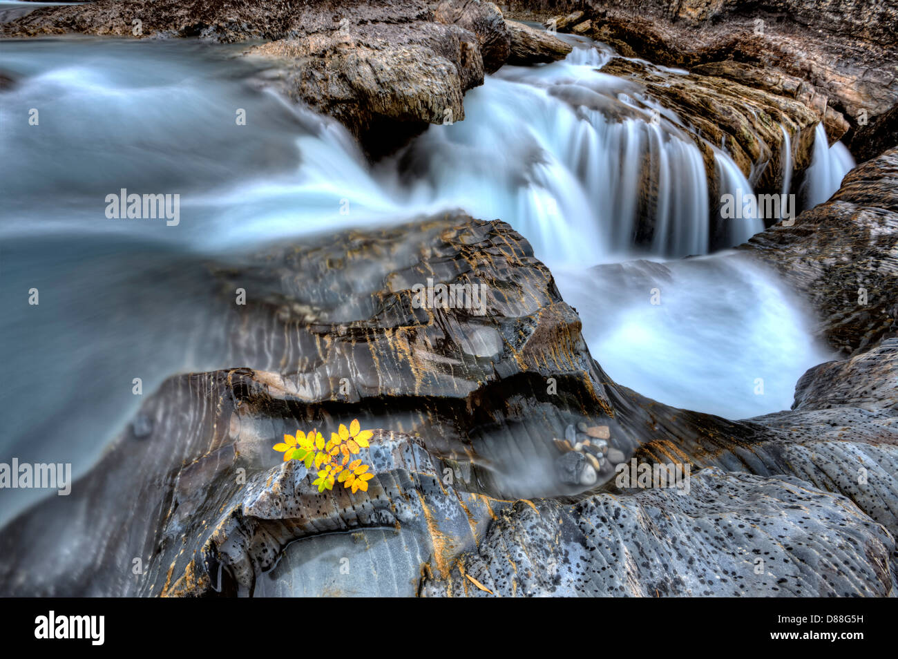 Natural Bridge Yoho National Park British Columbia Canada Stock Photo ...