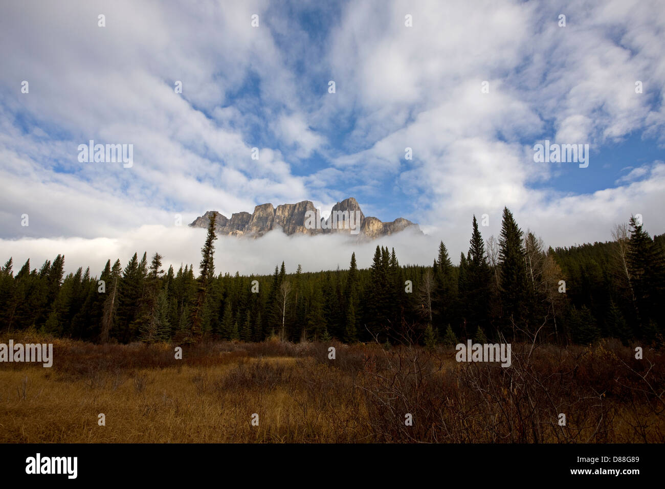 Castle Mountain Alberta Canada amongst the clouds Stock Photo - Alamy