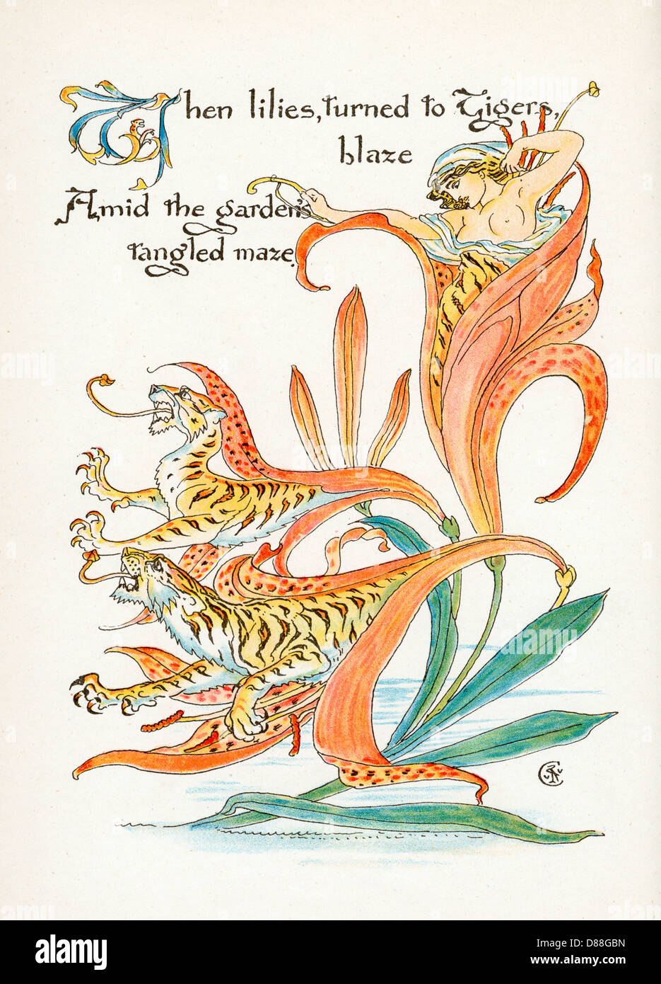 Victorian tiger hi-res stock photography and images - Alamy