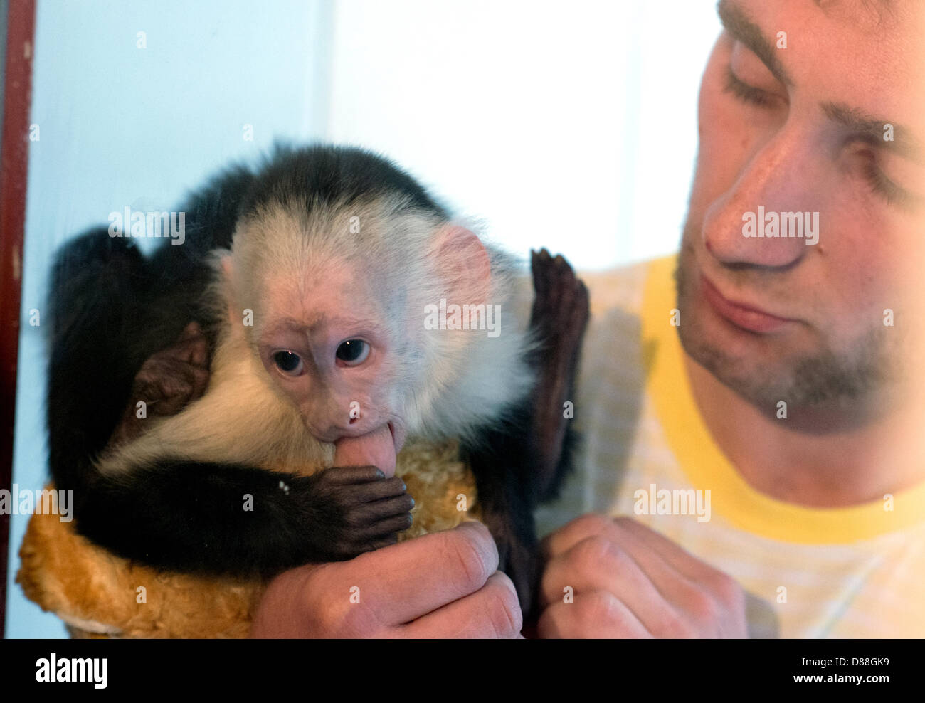 Required documents hi-res stock photography and images - Alamy