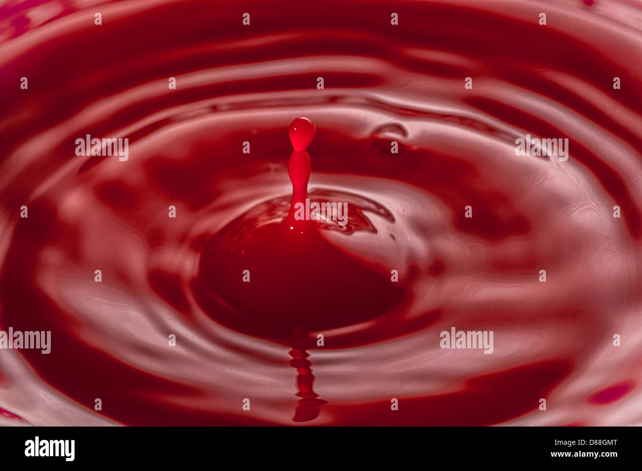 Abstract of Water Drops and droplets, Red Liquid , Copy Space, High ...