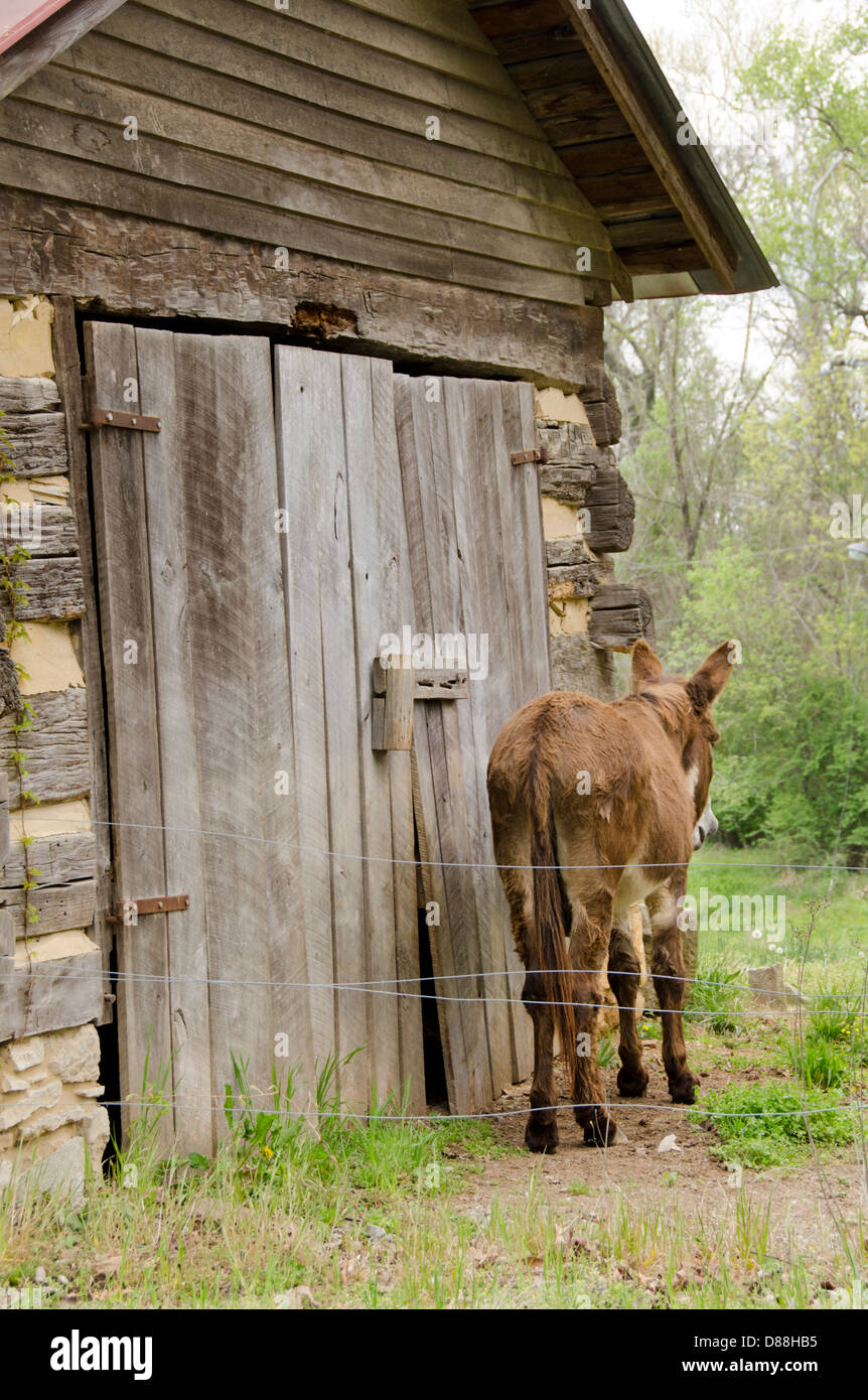 Tennessee, Nashville. The Hermitage, historic home & plantation of the ...