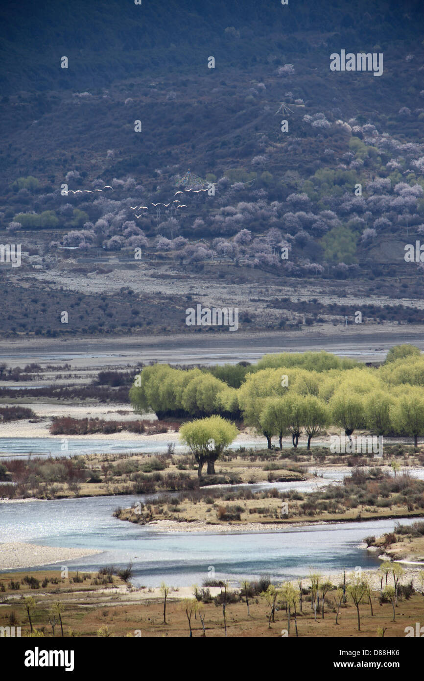 Niyang river hi-res stock photography and images - Alamy