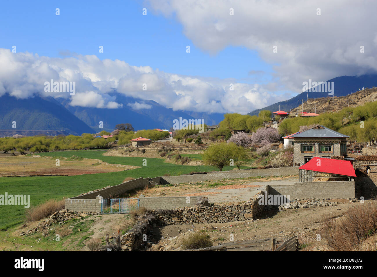 The Building of Tibetan, Nyingchi Prefecture, Tibet, China Stock Photo ...