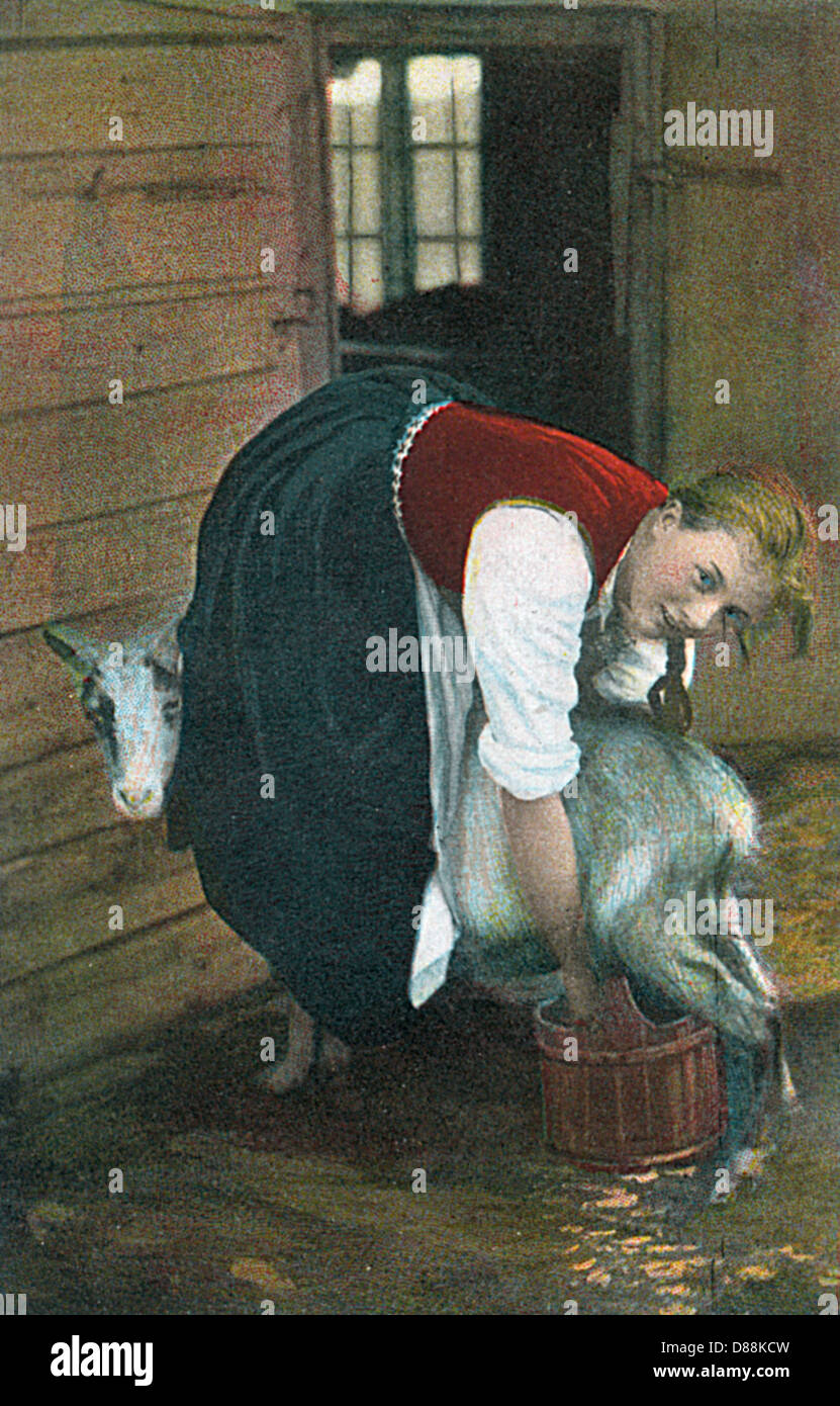 NORWEGIAN MILK GOAT - 2 Stock Photo - Alamy