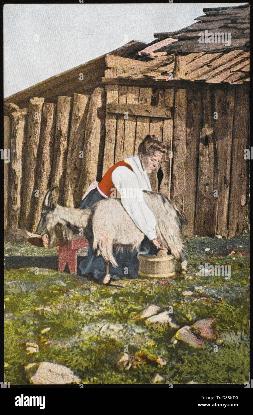 Norwegian farming 1900 hi-res stock photography and images - Alamy