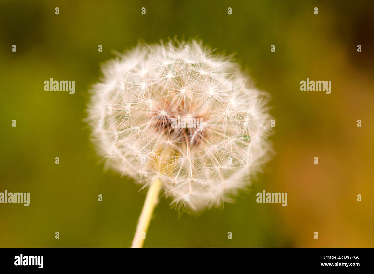 Shoot the breeze hi-res stock photography and images - Alamy