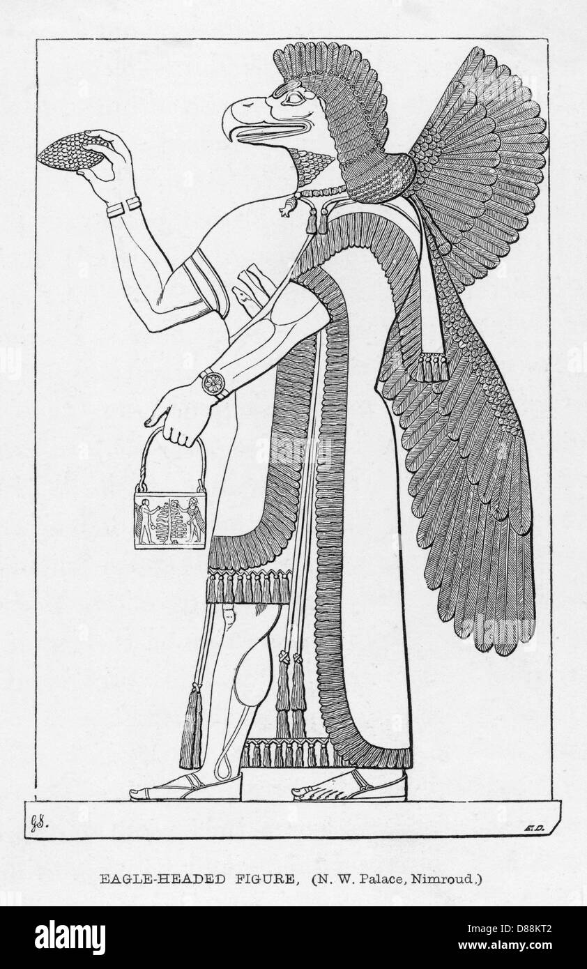 Eagle of iraq hi-res stock photography and images - Alamy