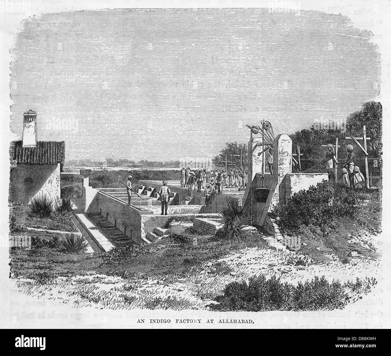 Indigo factory india hi-res stock photography and images - Alamy