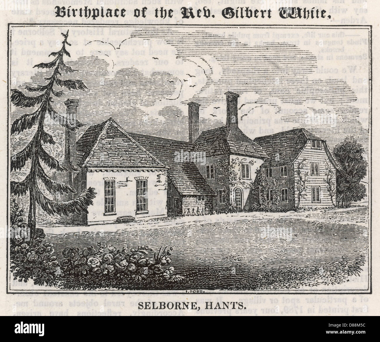 Gilbert white hi-res stock photography and images - Alamy