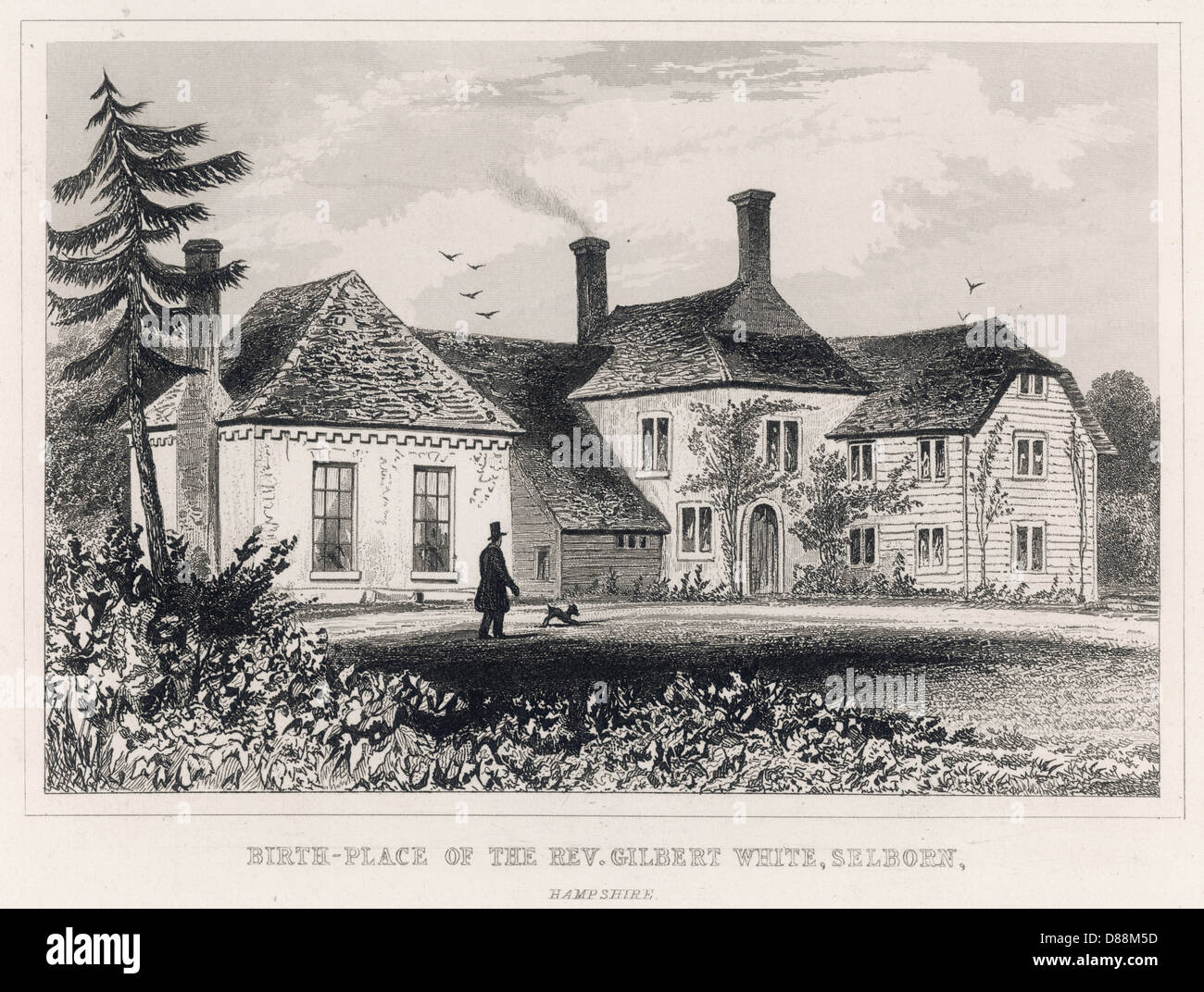 Gilbert white hi-res stock photography and images - Alamy