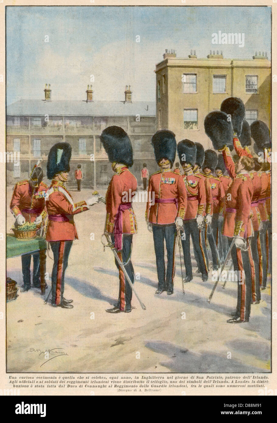 IRISH GUARDS SHAMROCK Stock Photo - Alamy