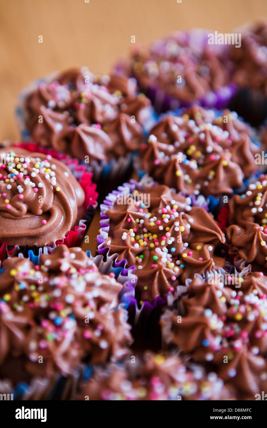 Closeup of chocolate cupcakes with decorative sprinkles Stock Photo - Alamy