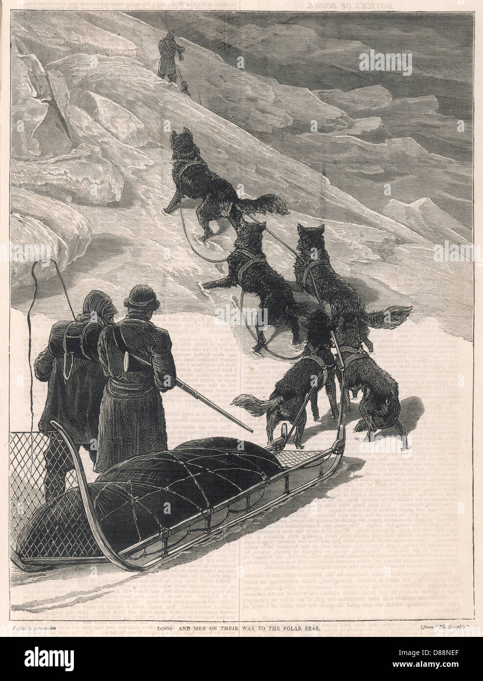 DOGS TO NORTH POLE Stock Photo - Alamy