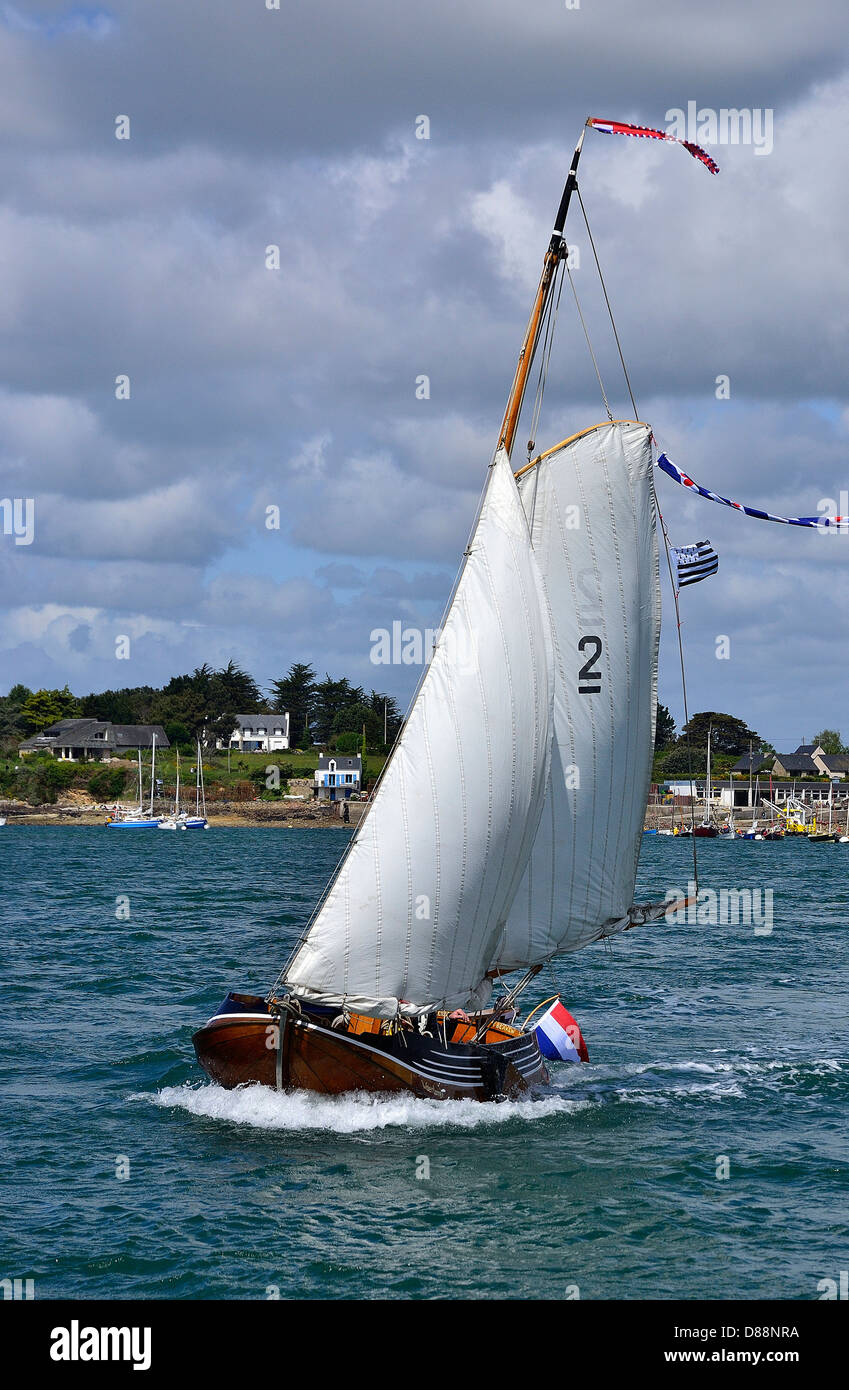 Traditional sailing flatbottom boat (Netherlands), sailing in the ...