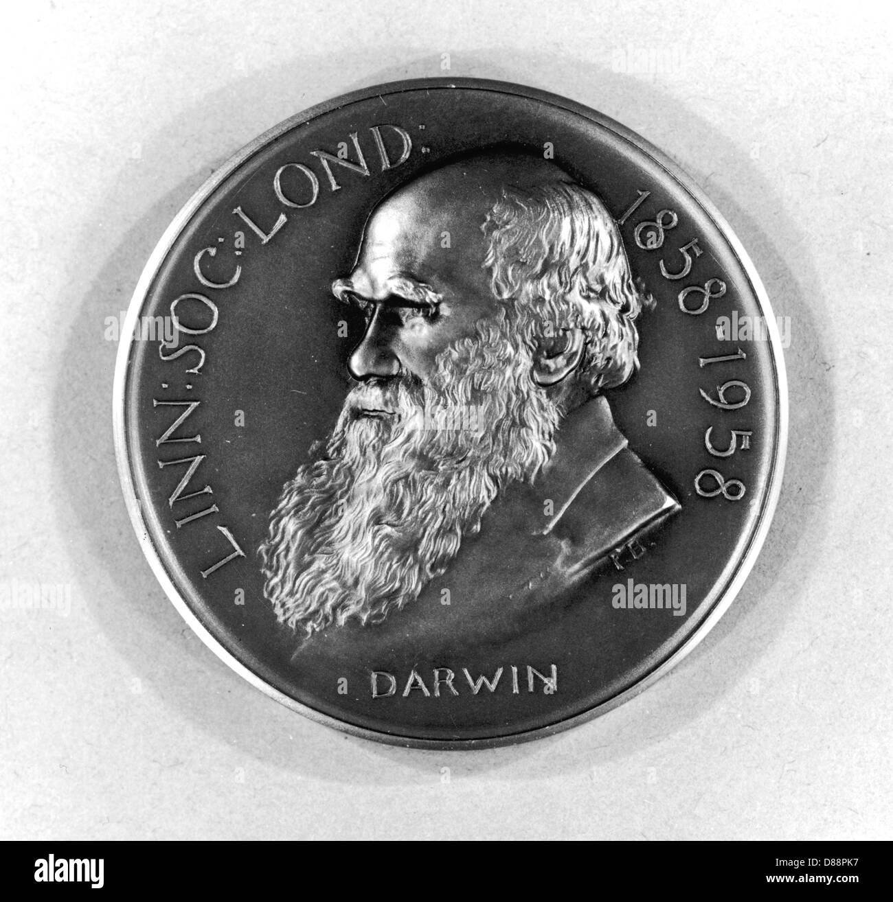 Darwin medallion medal hi-res stock photography and images - Alamy
