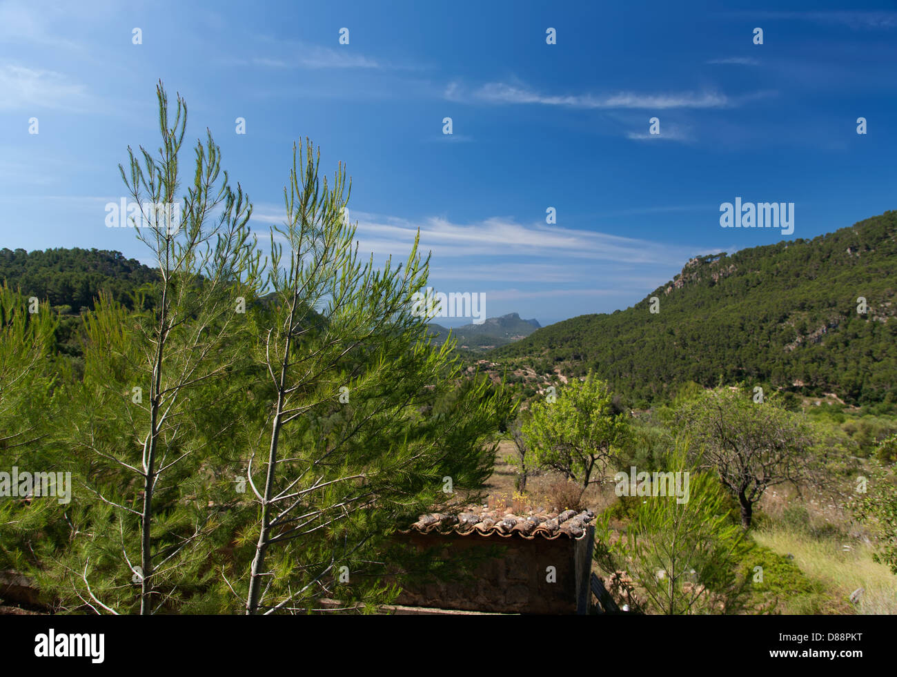 Tranquil mallorca beaches hi-res stock photography and images - Alamy