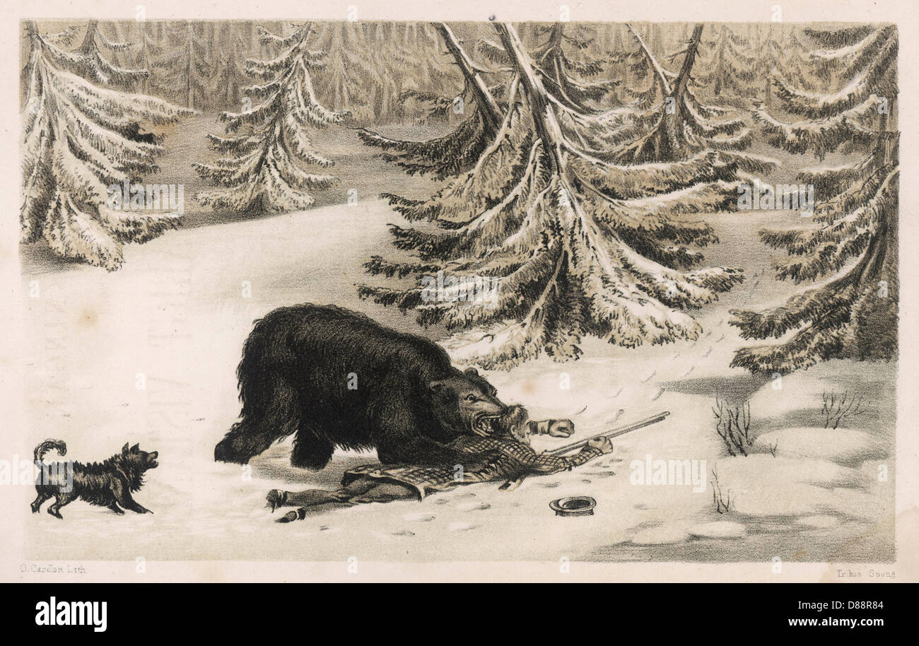 Swedish hunter hi-res stock photography and images - Alamy