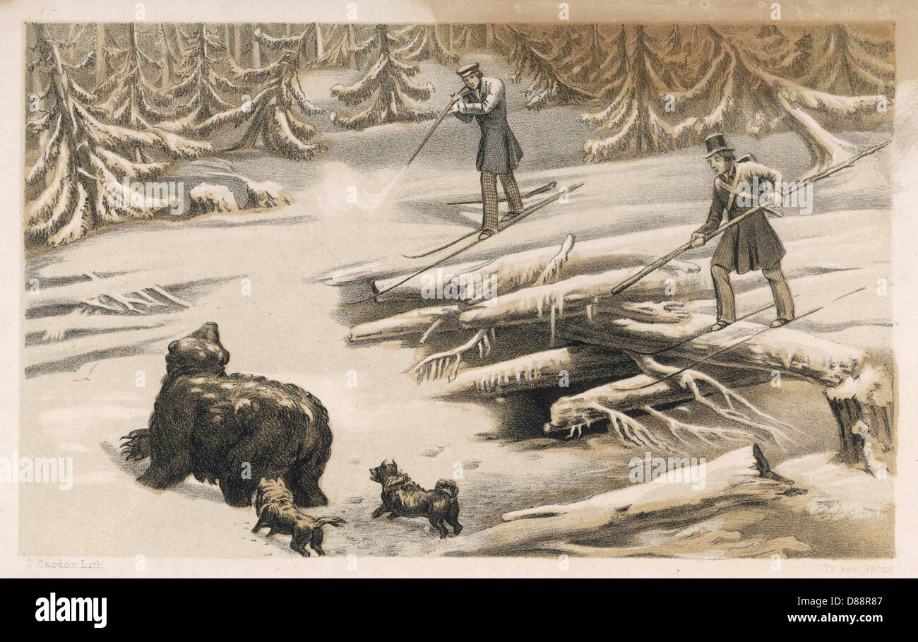 Hunting a bear hi-res stock photography and images - Alamy