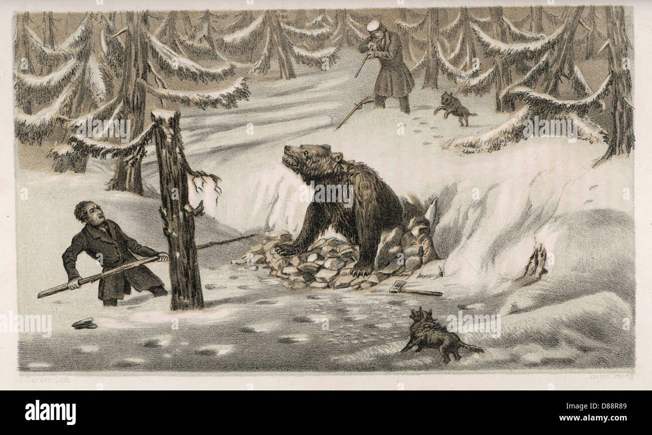 CORNERING A BEAR Stock Photo - Alamy