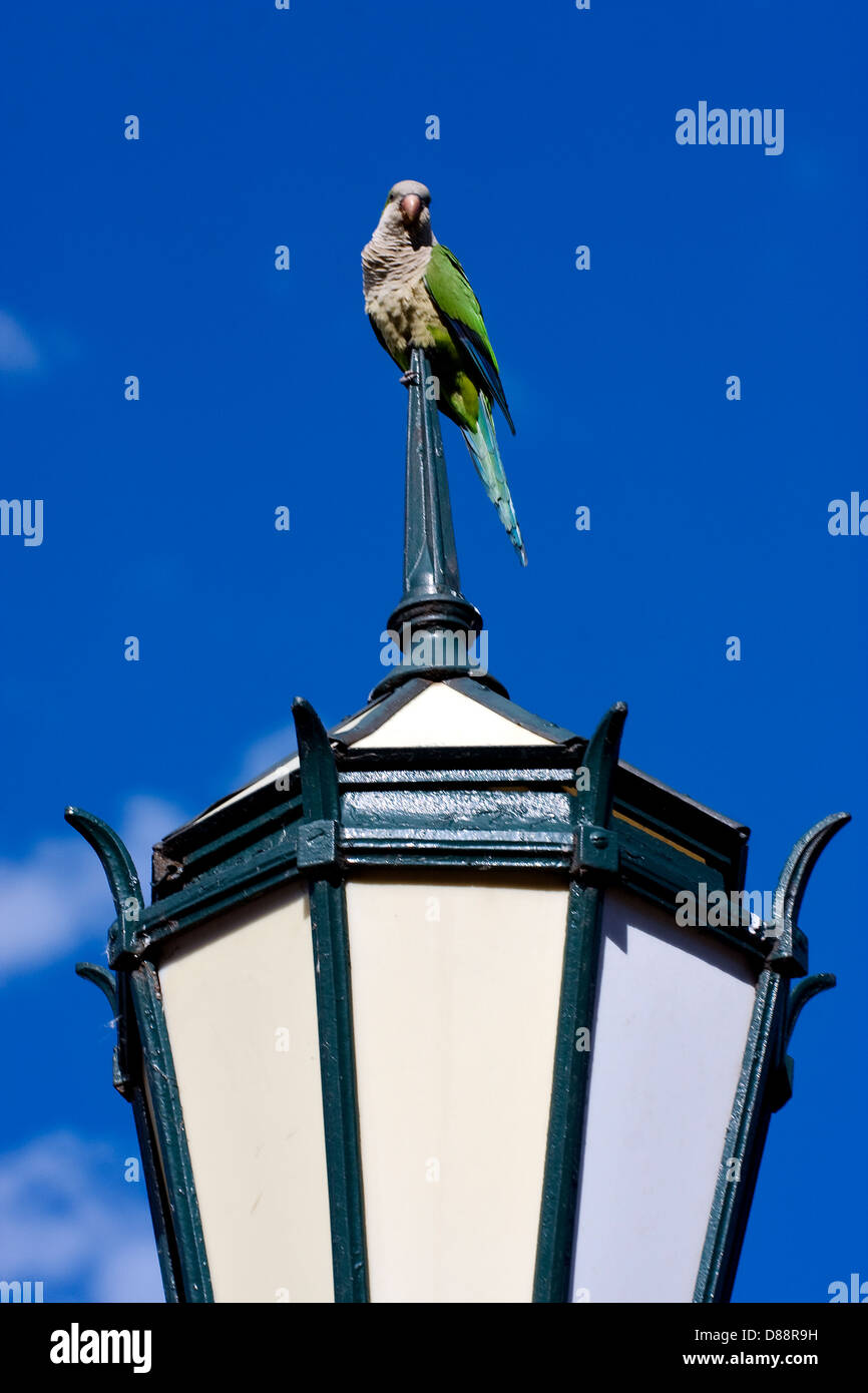 Green curved street lamp hi-res stock photography and images - Alamy