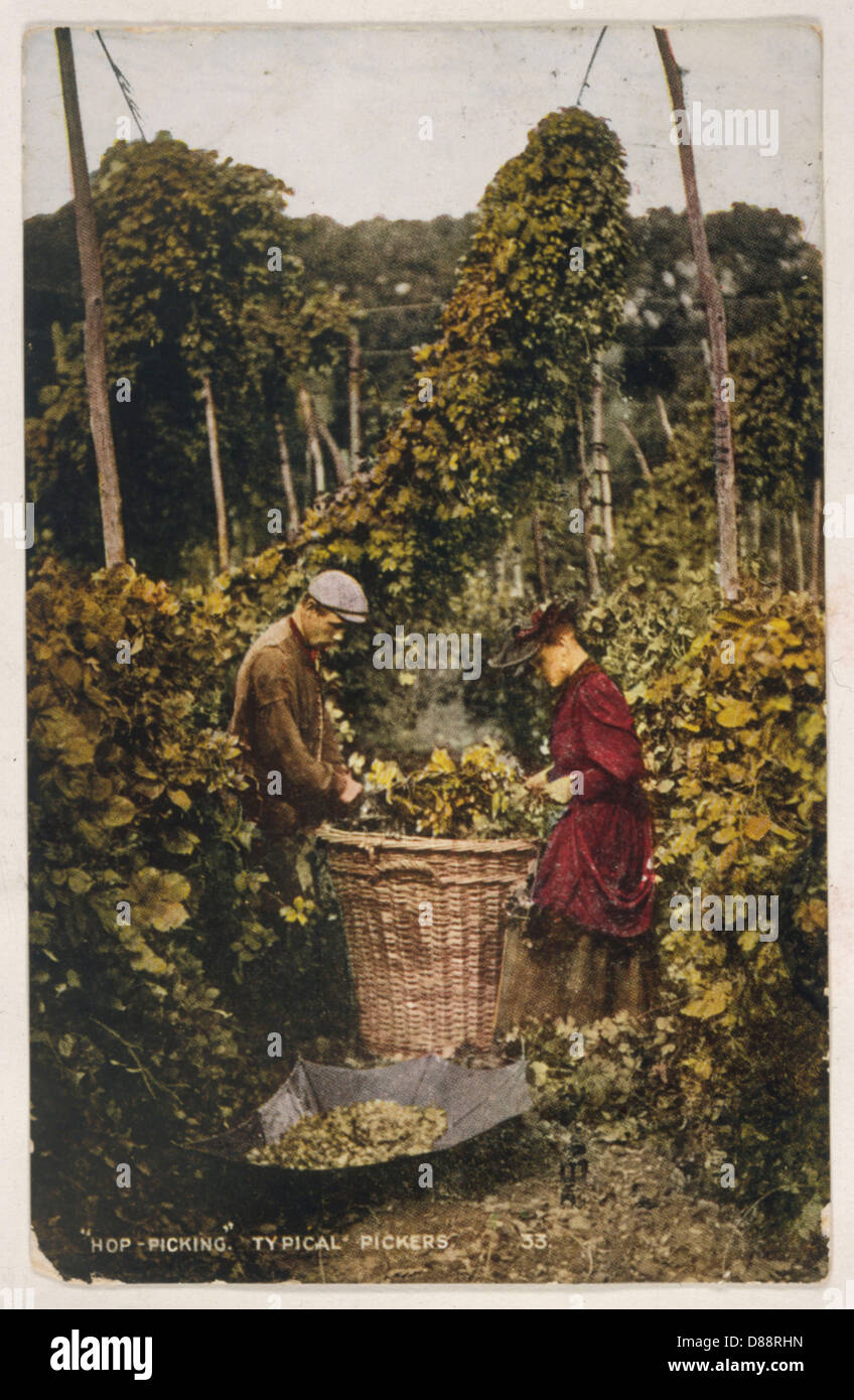 Hop pickers hi-res stock photography and images - Alamy