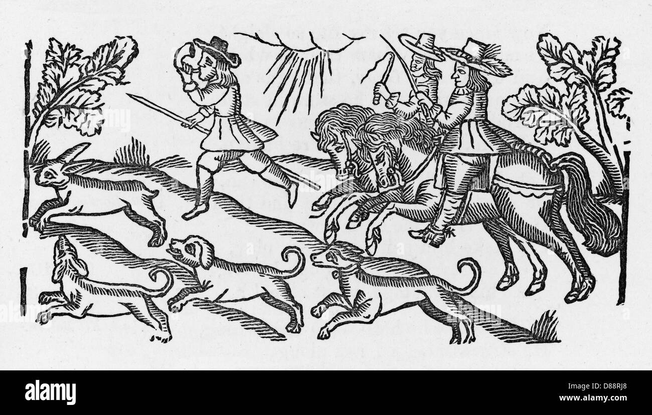 Hare foot hi-res stock photography and images - Alamy