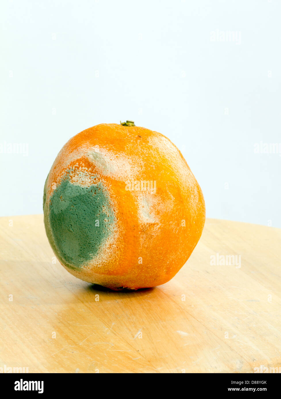 Mouldy hi-res stock photography and images - Alamy