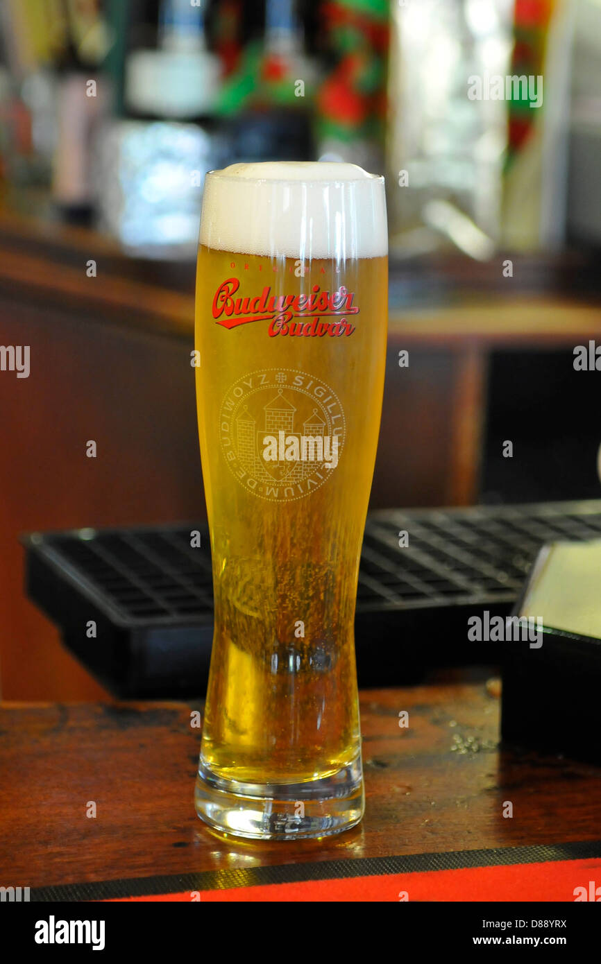 Pint of lager at the lord john russell pub hi-res stock photography and ...