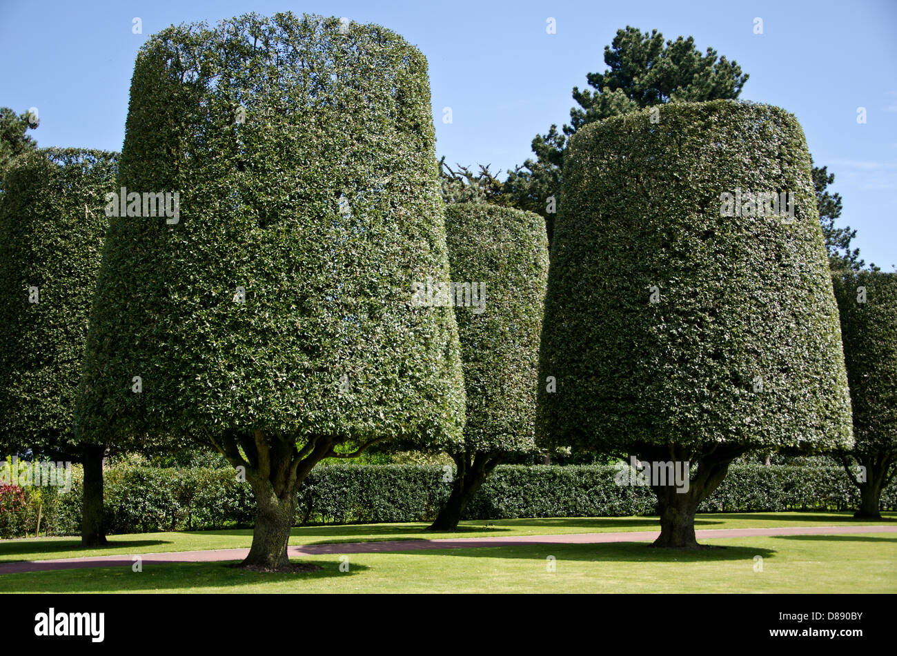 Botany hi-res stock photography and images - Alamy