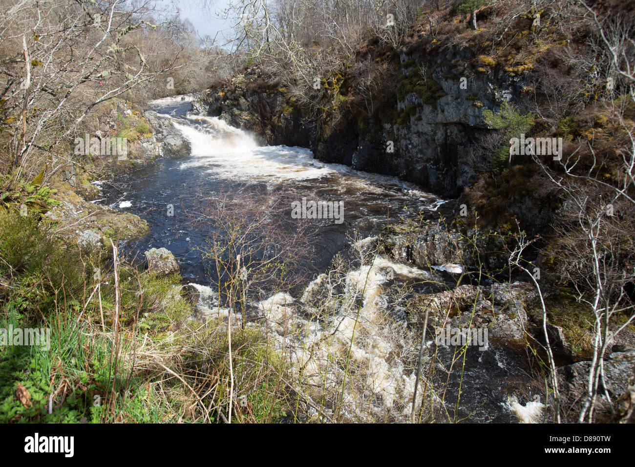 Falls of Shin, Scotland. Picturesque view of the Falls of Shin at the ...