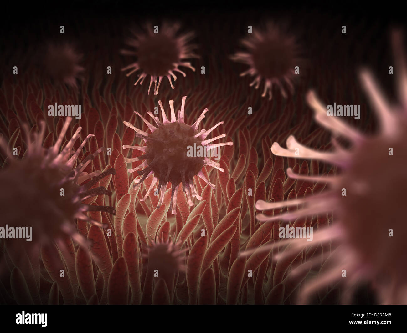 Viruses inside the human body - science and health illustration Stock ...