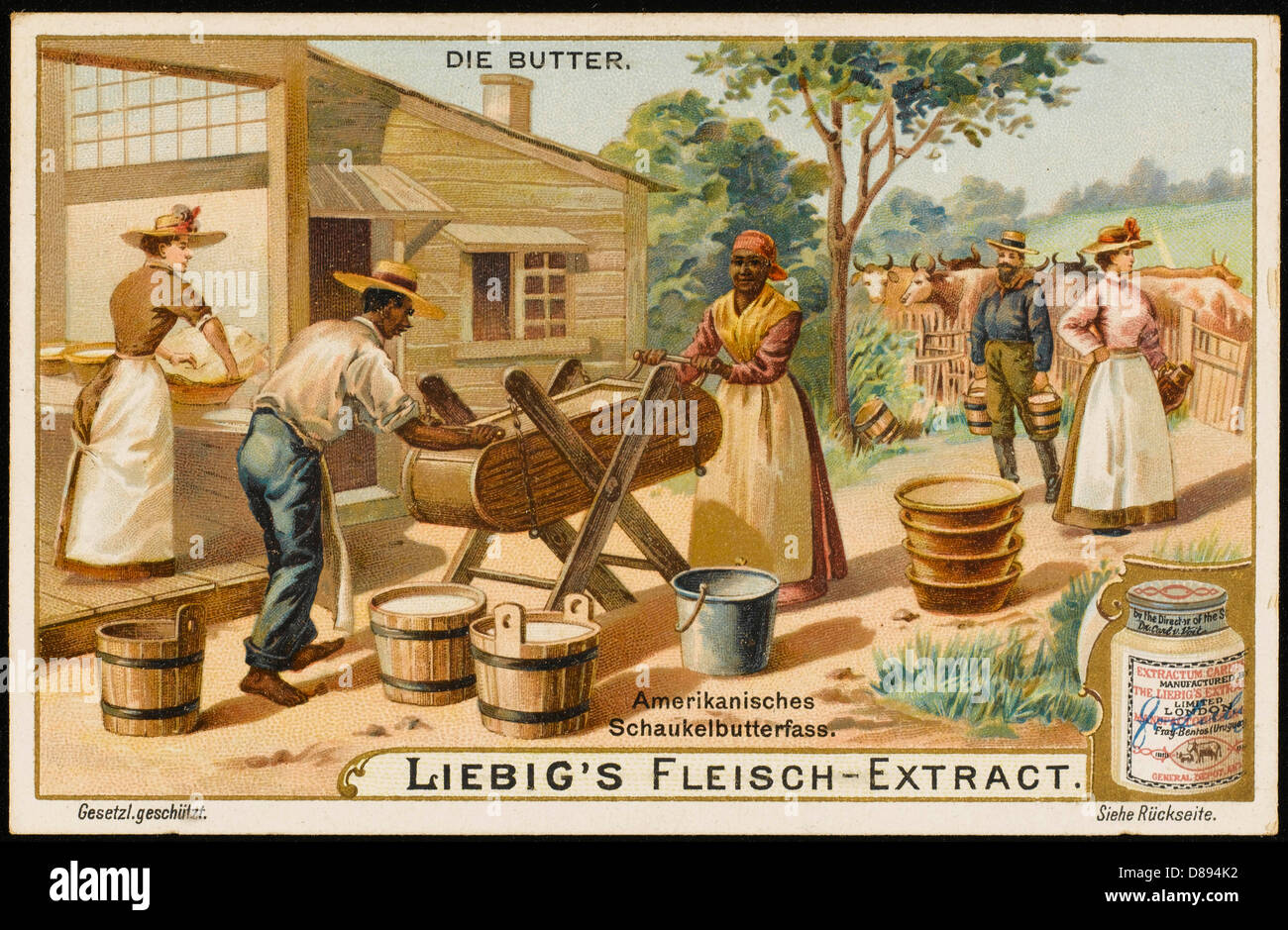 MAKING BUTTER, AMERICA Stock Photo - Alamy