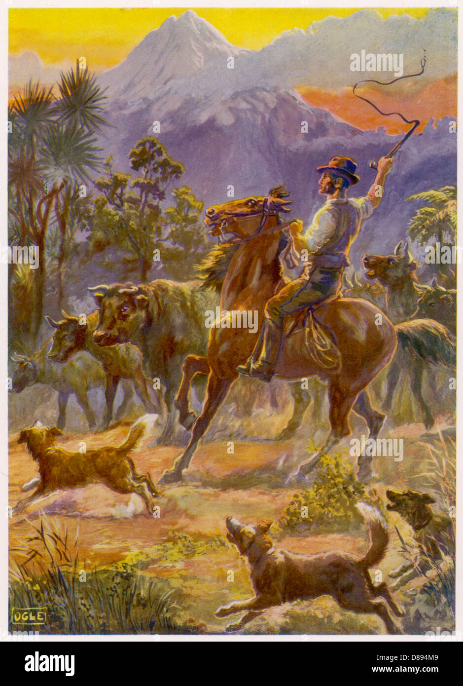 Australian Bushman High Resolution Stock Photography and Images - Alamy