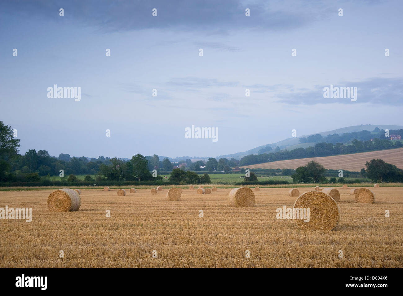 Lovely sunset golden hour landscape of hay bales in field in English ...