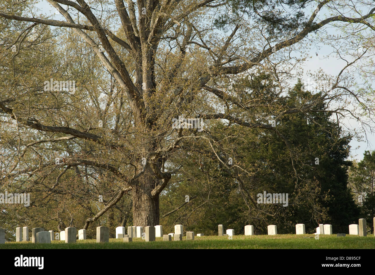 Union soldiers' graves, National Cemetery, Shiloh National Military ...